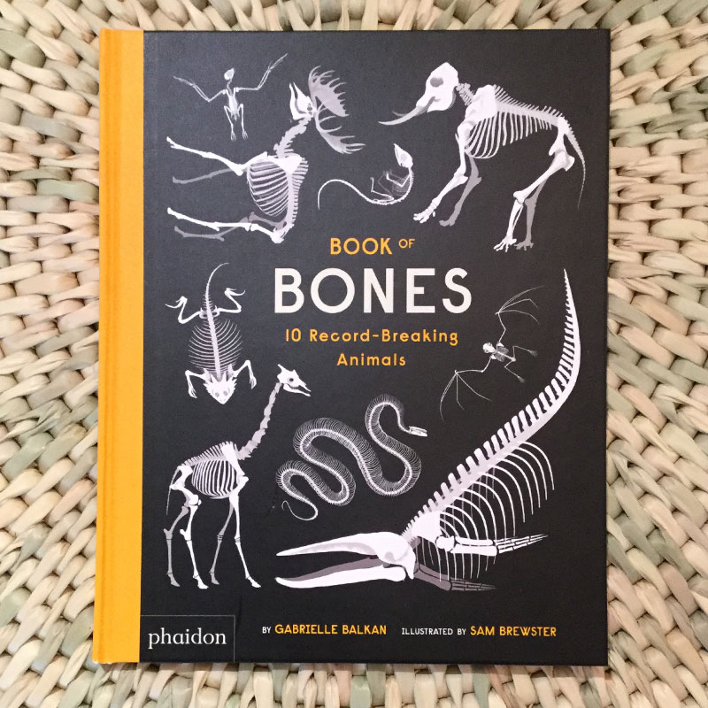 Book of Bones: 10 Record Breaking Animals Gabrielle Balkan and illustrated by Sam Brewster ...