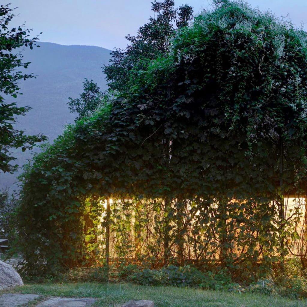 evergreen architecture 1 – Pezula Interiors