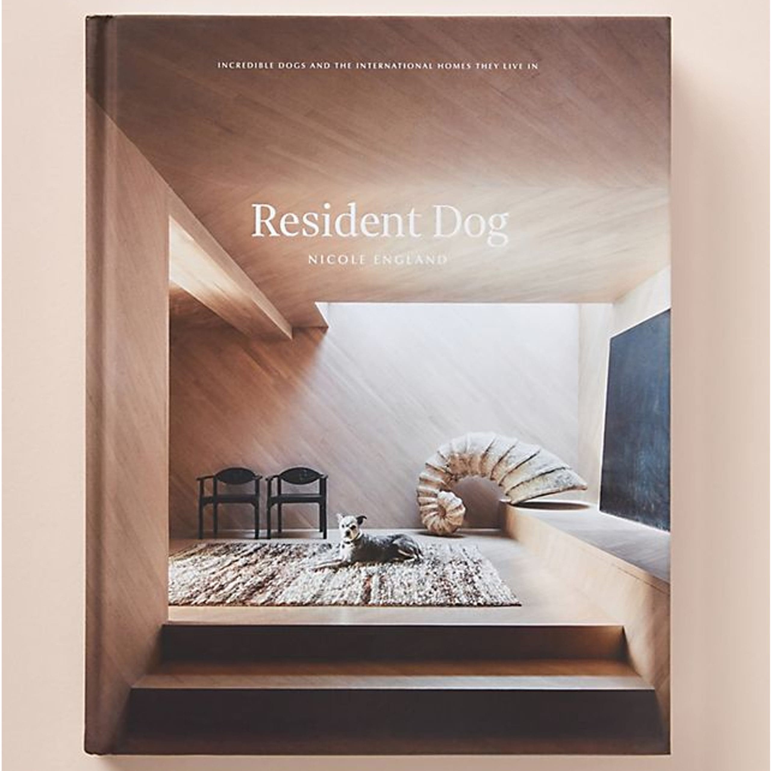 resident dog – Pezula Interiors