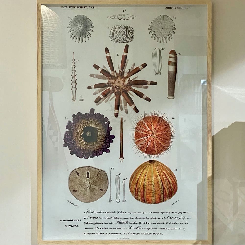 Urchen & Co A1 framed print – Pezula Interiors