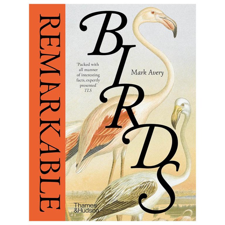 Remarkable Birds: Mark Avery – Pezula Interiors